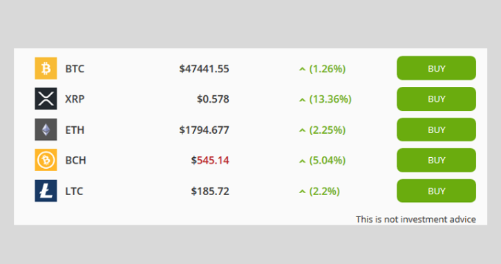 Etoro Review: What Can You Do With Etoro in 2024 - Tasty Referrals